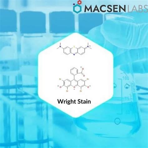 Wright Stain Powder At Best Price In Udaipur By Macsen Laboratories