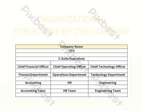 Enhancing Company Efficiency Through Effective Organizational
