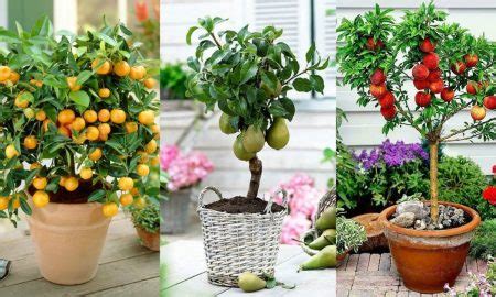 Transformez votre balcon ou votre toit en un petit paradis grâce à ces