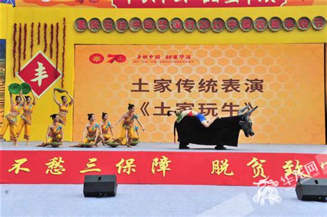 重庆石柱：庆丰收 展新貌 农民晒出“幸福好生活” 经济·科技 人民网