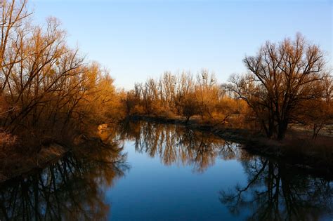 Nature Automne Tombe Photo Gratuite Sur Pixabay Pixabay