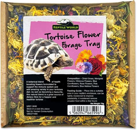 Reptile World Forage Tray 100 Natural Botanical Enrichment For