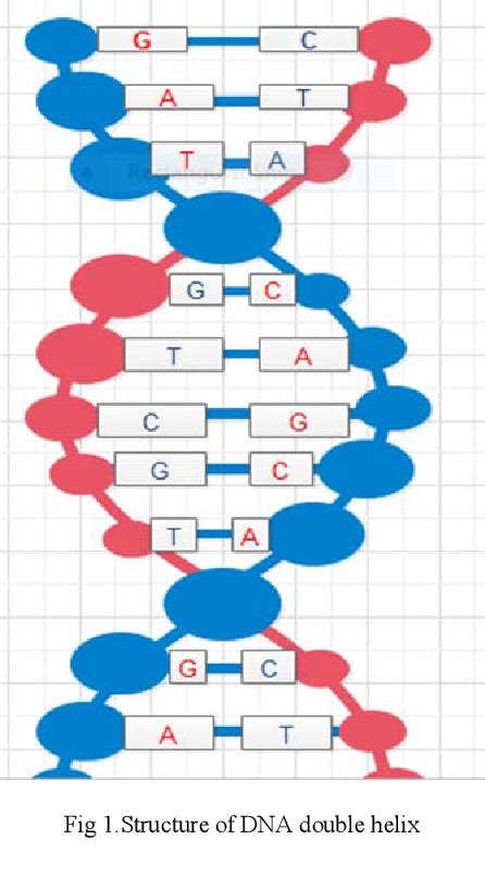 table 1 from file encryption and decryption using dna technology