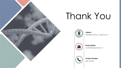 Top 10 Male Reproductive System Powerpoint Presentation Templates In 2025