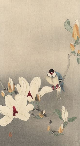 Ohara Koson Blue Bird And Magnolia Tumbex