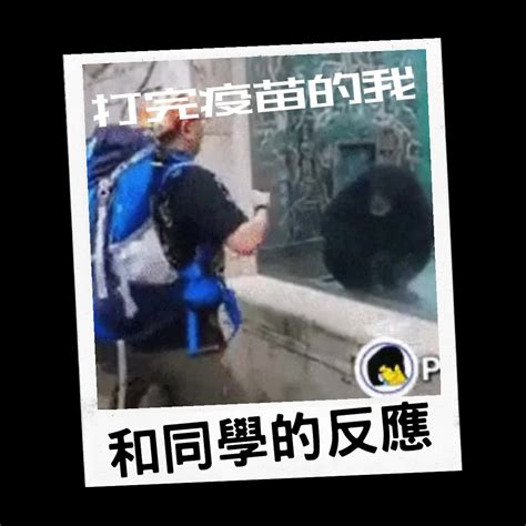 笑屁啊笑 開學 同學 Bnt 高端 疫苗 迷因 Meme 迷因梗圖 迷因療法 迷因工程 迷因靈魂 迷因事業