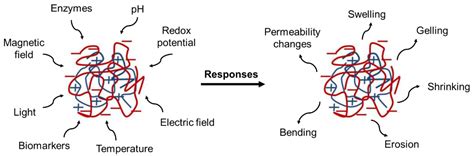 Molecules Free Full Text Weak Polyelectrolytes As Nanoarchitectonic