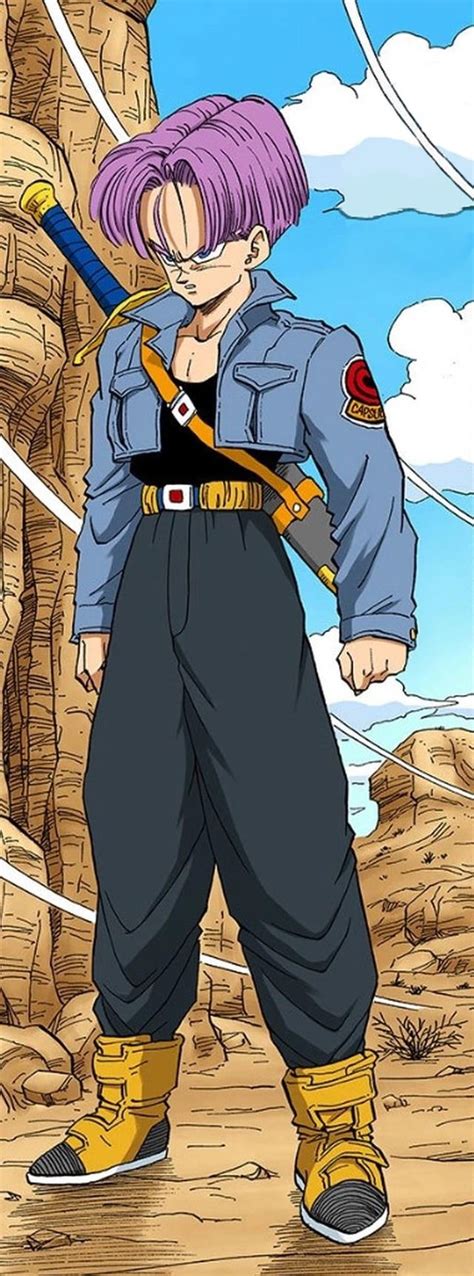 My Future Trunks Jacket Cosplay R Dbz