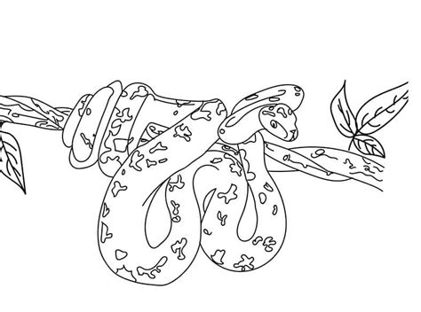 Målarbild Orm 2 Skiv Ut Gratis På