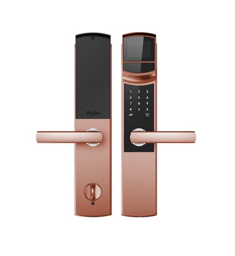 Binocular Iris Lock Smart Home Iris Lock Wuhan Homsh Technology