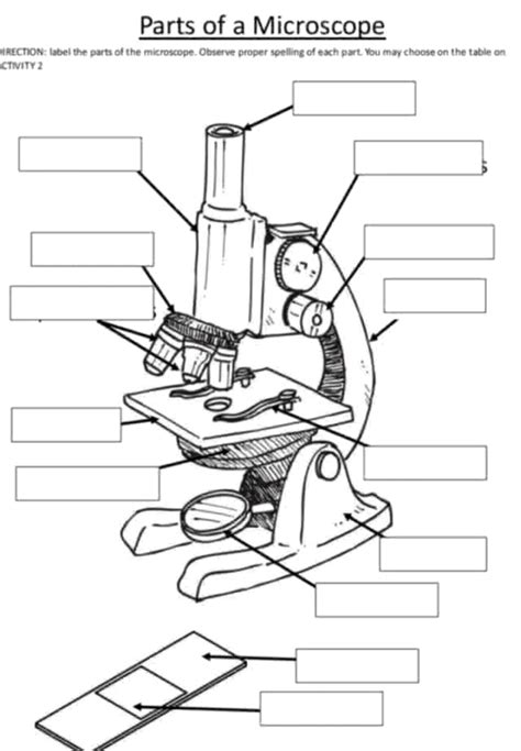 Parts Of A Microscope HRECTION Label The StudyX