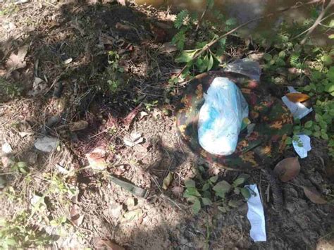 ရွှေဘိုမြို့နယ်၊ ယင်းမာရွာအနီး တွင် ခေတ္တတပ်စွဲကာ နားနေလျက်ရှိသော စစ