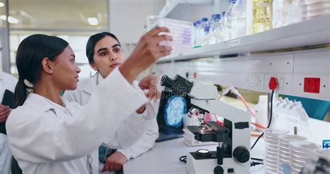 Science Research And Team Of Scientists With Sample In Laboratory For