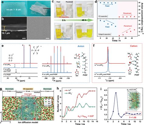 Characterization Of The Cationselective Cs Separator A Photographs Download Scientific