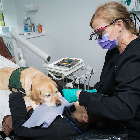 Mcneely Dental At Sherman Aragon Blog