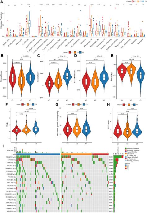 Immune Infiltration Analysis Among Three Tme Subtypes A Cibersort Download Scientific