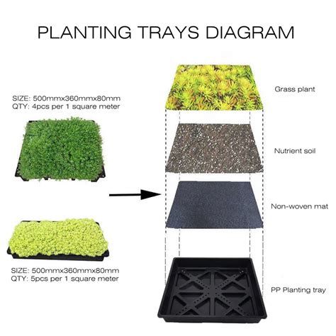 Grass Plug Growing Trays