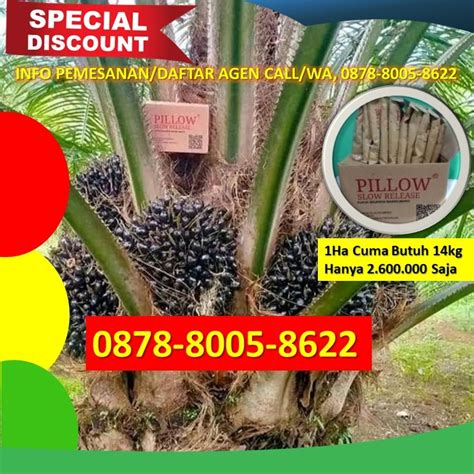 Pupuk Cair Terbaik Untuk Sawit TERBUKTI Perkebunan Di Carousell