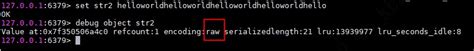 一文带你快速搞懂动态字符串sds Csdn博客