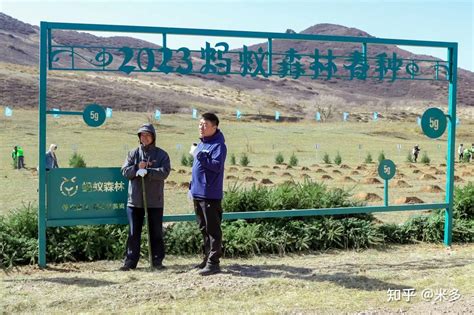 蚂蚁集团为保护生态环境植树造林 知乎