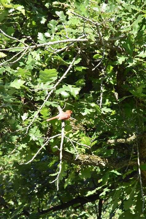 Dsc0015 Roberta Flickr