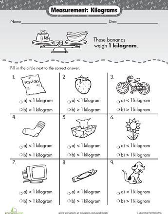 G And Kg Problem Solving Best Essays Written By Babes