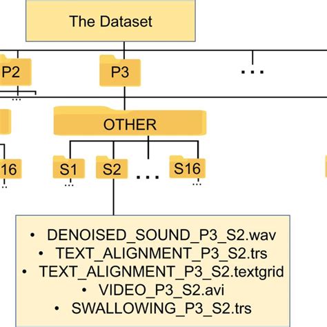 The Dataset Structure Illustrated With The Example Of The Second Download Scientific Diagram