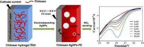 具有电改性壳聚糖 银纳米粒子的纸基传感器，用于快速、灵敏的亚硝酸盐检测 Journal Of Environmental Chemical Engineering X Mol