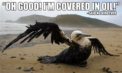 Broken Oil Field Memes