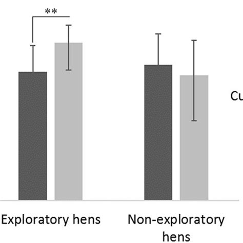 The Judgment Bias Apparatus A Overhead View Of The Judgment Bias