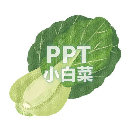 ppt 中的红色波浪线怎么去除？简单两步就能完成！ 文字 底部 勾选