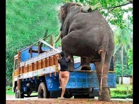 Deepak Das Posted On Linkedin