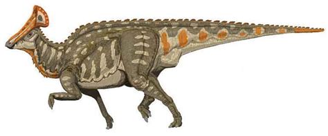 Hadrosaur History And Some Interesting Facts