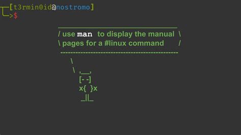 Use Man To Display The Manual Pages For A Linux Command Youtube