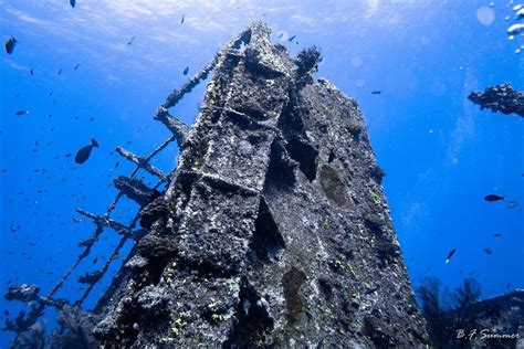 夏天好想去潛水！台灣10大潛水勝地推薦，從蘭嶼、小琉球、綠島到墾丁，都有不可錯過的海洋奇景 Xinmedia欣傳媒｜最懂生活的咖