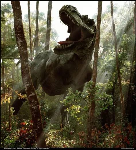 人类将面临第六次生物大灭绝？