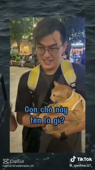 Kì Cục Hả Memes Meme Vlog Vlogs Donecypert Youtube