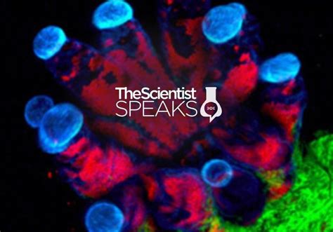 Genomes Across The Tree Of Life The Scientist