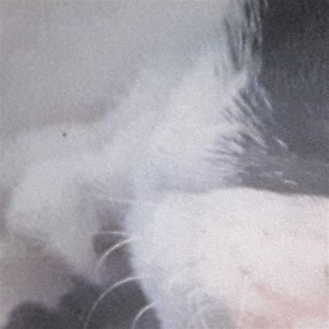 Tamara Bailey Youtube