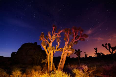 Fotografiando El Cielo Nocturno De Nikon
