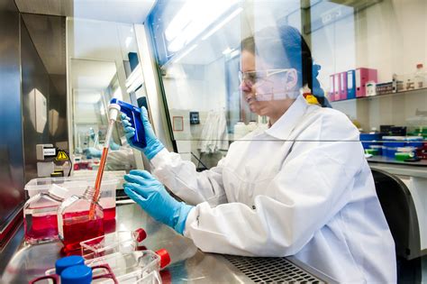 Perfect Your Viral Vector Process Development