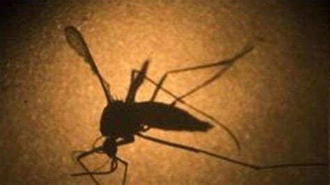 Zika Virus Case Reported In Kanpur First In Uttar Pradesh Today News