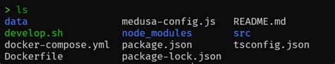Medusa Create An Ecommerce Website With Docker