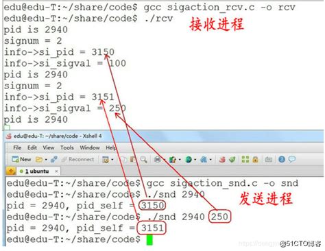 【linux系统编程】信号 下 天天看点