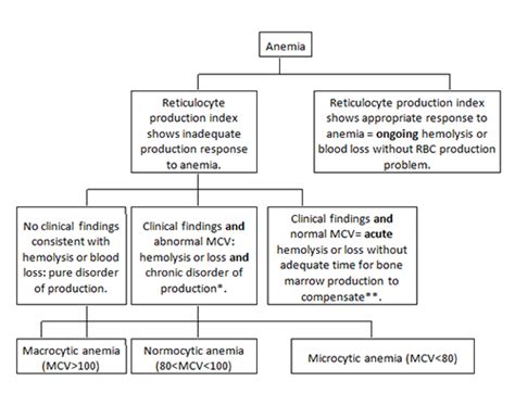 Types Of Anemia Chart A Visual Reference Of Charts Chart Master