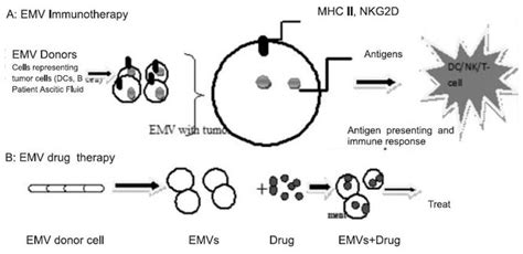 Exosome Applications