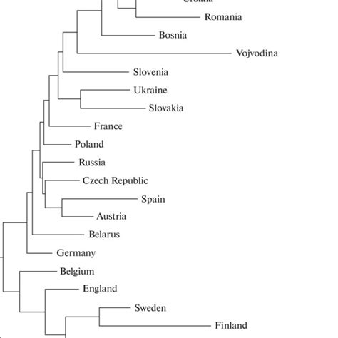 dendrogram constructed by the neighbour joining method showing the