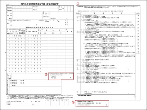 全能 程度 実行する 離職 票 写真 集団的 細部 慈悲