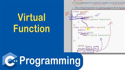 102 Virtual Function In C Runtime Polymorphism Youtube