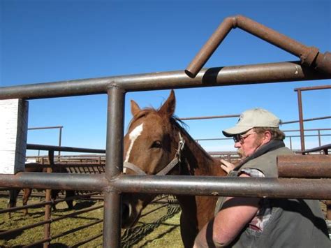 Classmates Find Your School Yearbooks And Alumni Online Yearbook